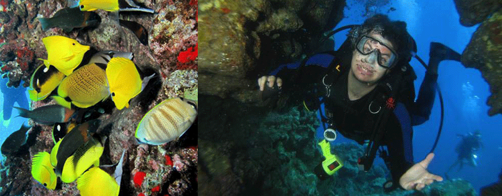 Maui Activities - Extended Horizons Scuba Lanai | Lanai Scuba Diving ...