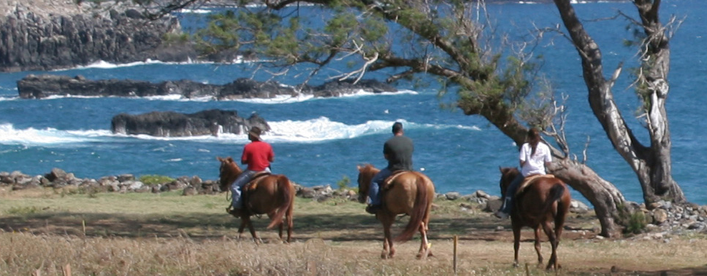 Maui Activities - Mendes Ranch Maui Horseback Ride | Horseback ride on Maui