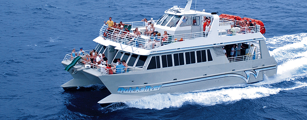 Maui Activities - Quicksilver Lanai Snorkel and Dolphins Excursion ...